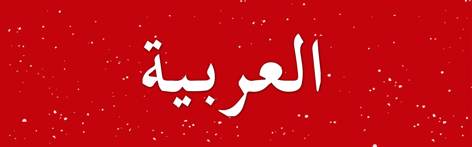 Company Profile in Arabic to Market your Brand in MENA Region